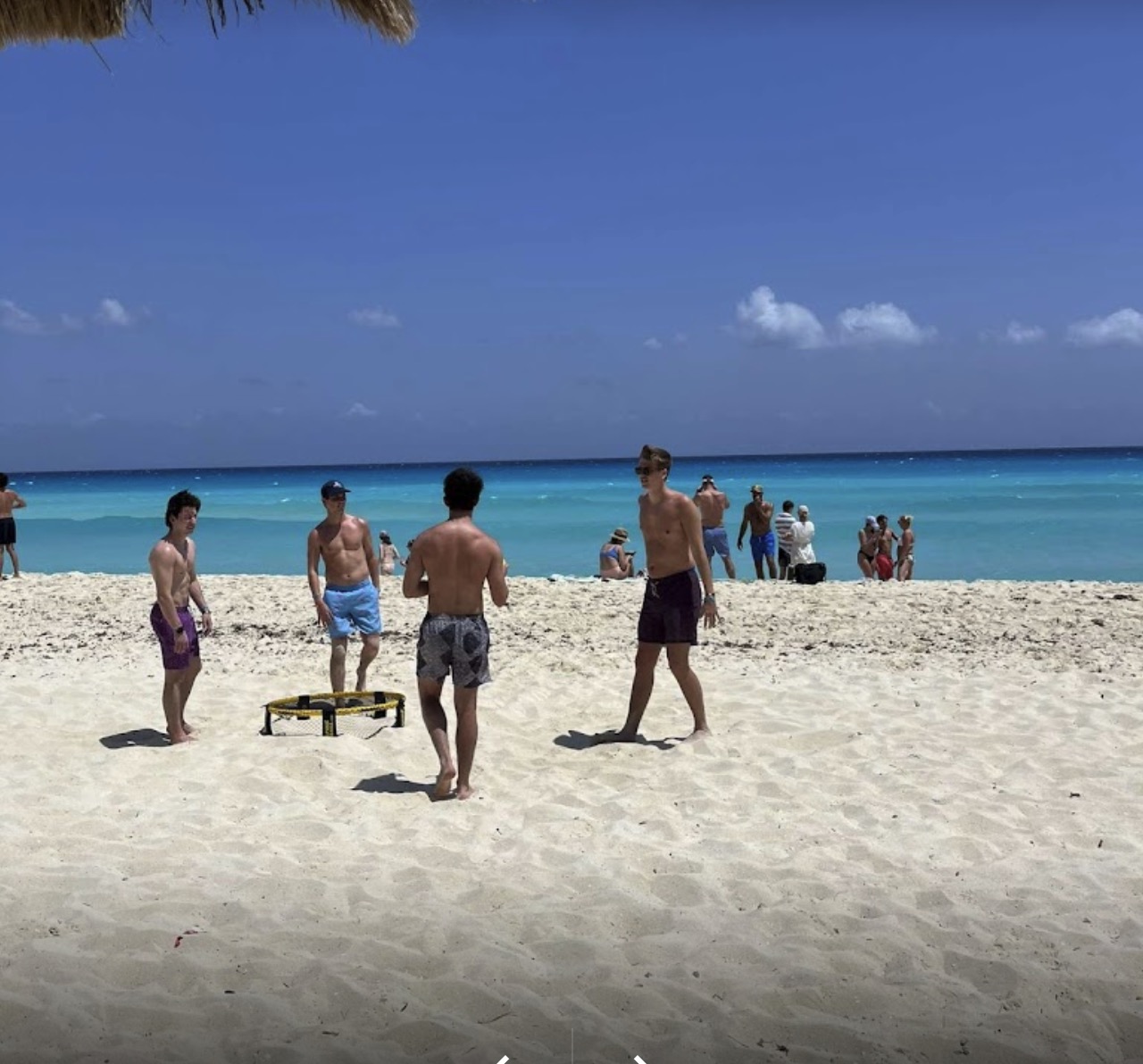 Home - Go Blue Tours